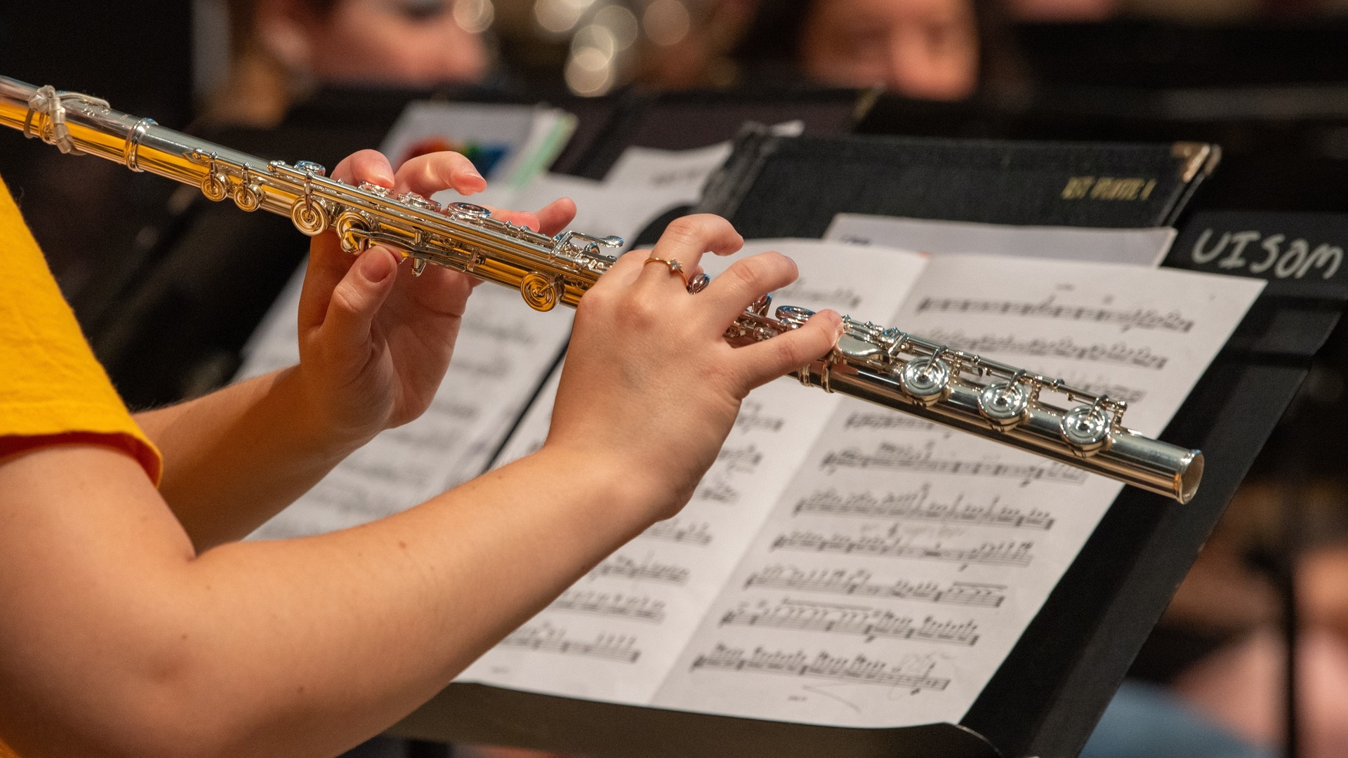 Auditions | School of Music - College of Liberal Arts and Sciences ...