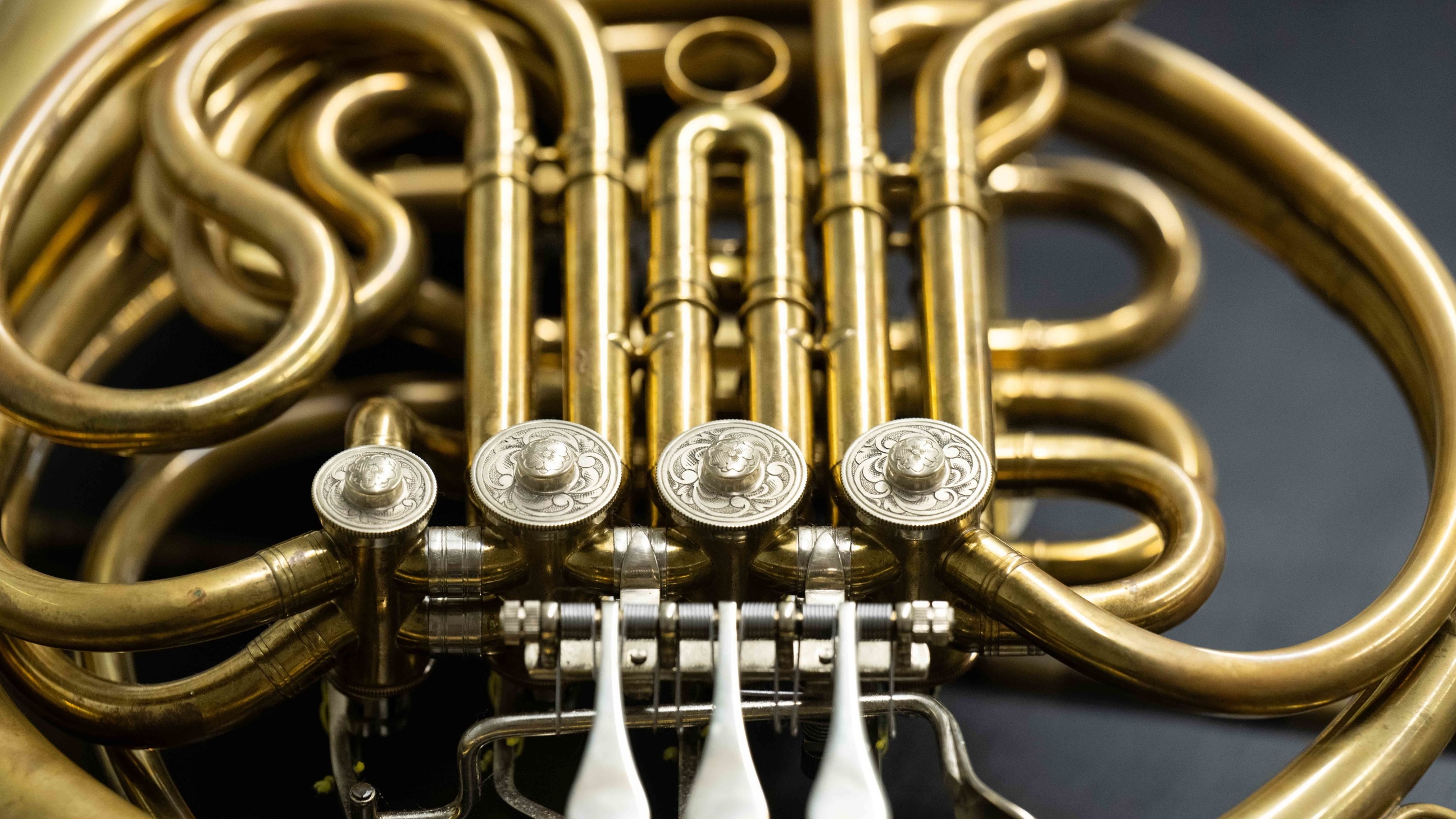 Auditions | School of Music - College of Liberal Arts and Sciences ...